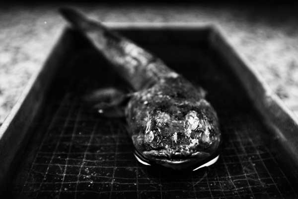 Bex El Salvador - Mauro Arias